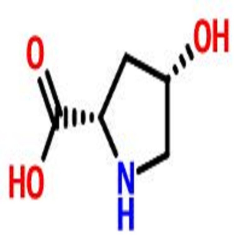 پودر ال هیدروکسی پرولین خرید و فروش L Hydroxyproline - نگین پیشرو سلامت